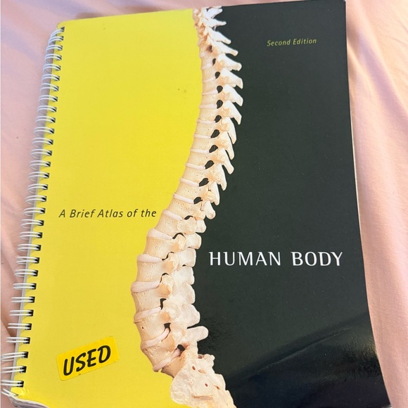 Office | Human Body Atlas Spiral Notebook | Poshmark